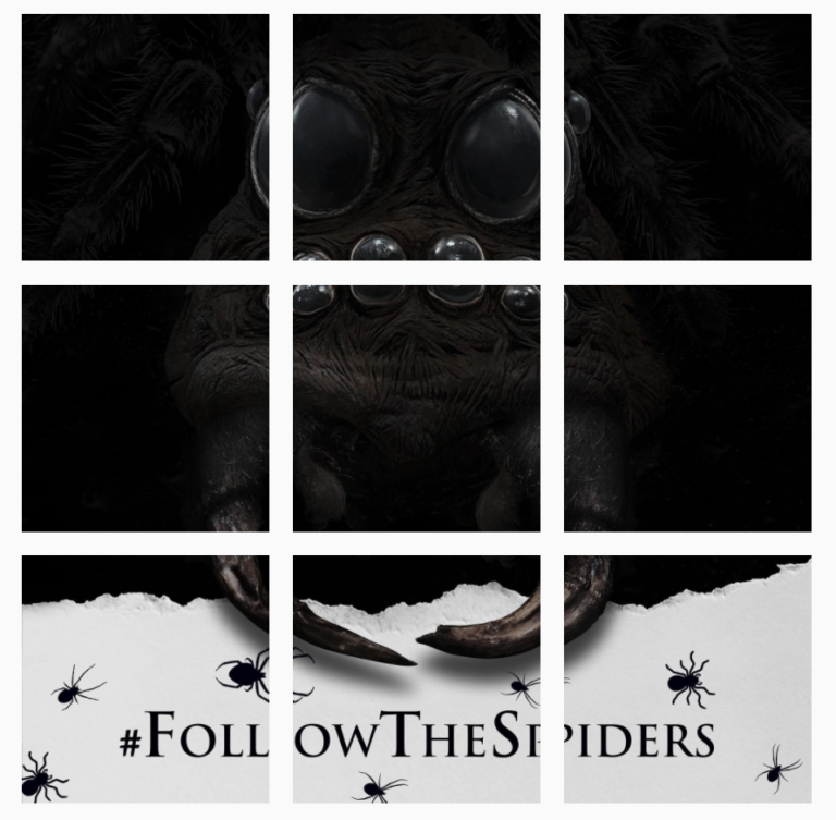 A New Harry Potter Instagram Asks Fans to "Follow the Spiders." The ...